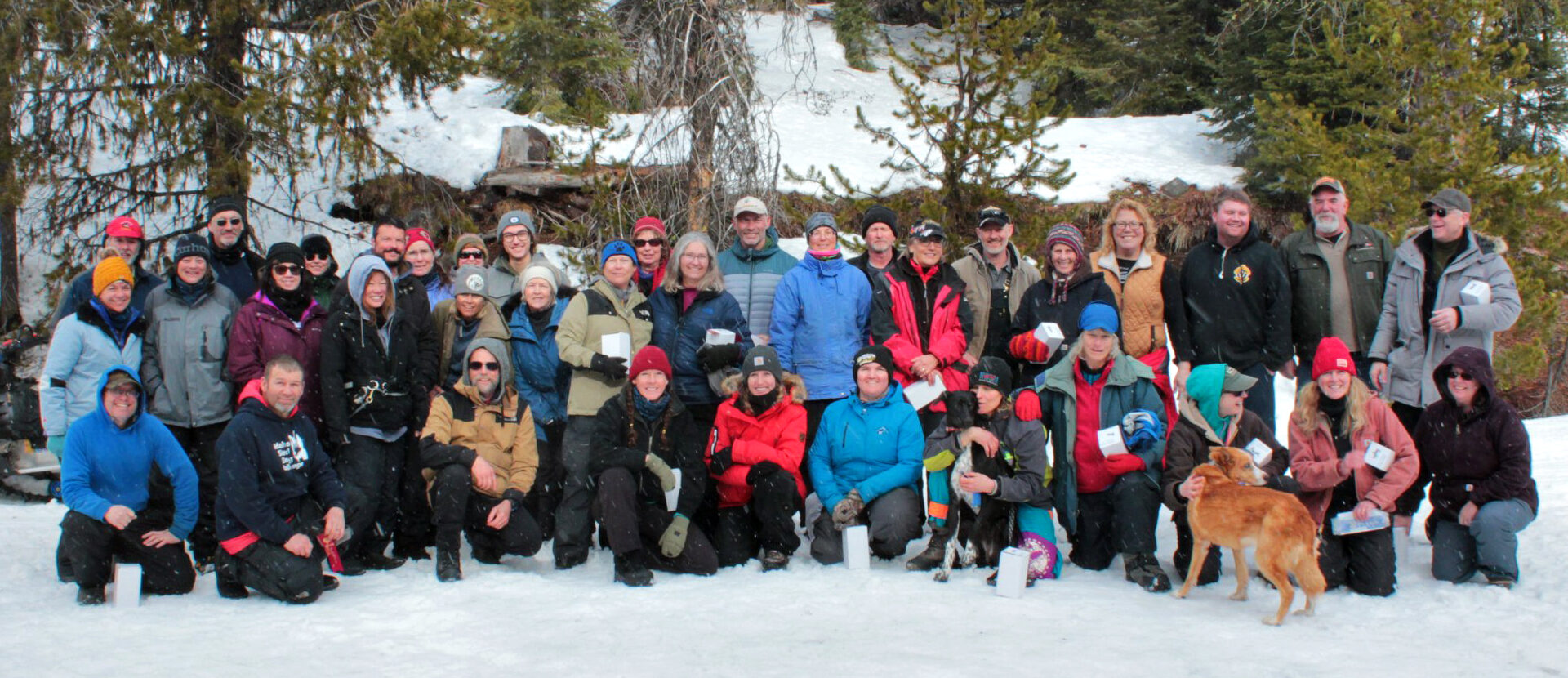 About – PSDSA | Pacific Sled Dog and Skijor Association