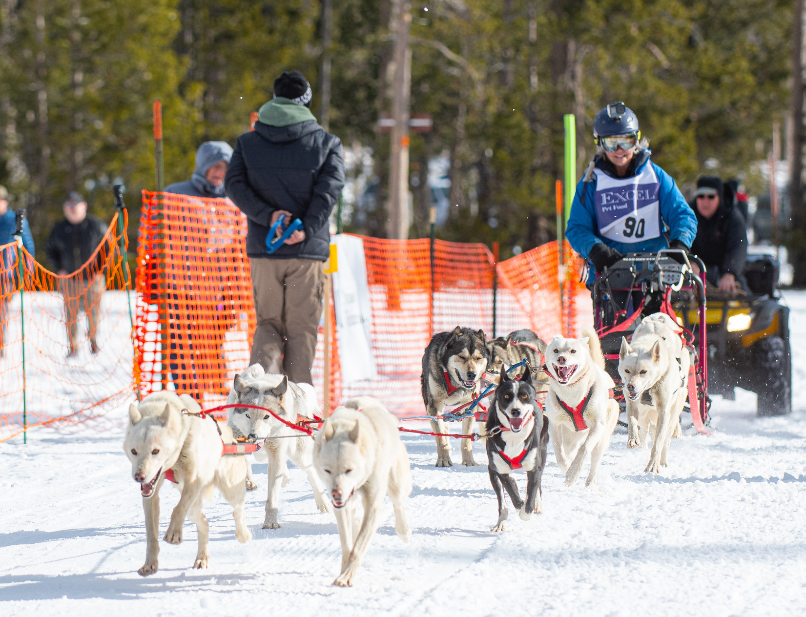 Sled Dog Showcase – PSDSA | Pacific Sled Dog and Skijor Association